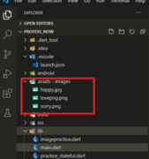 How to add Images in Flutter. – Best DevOps